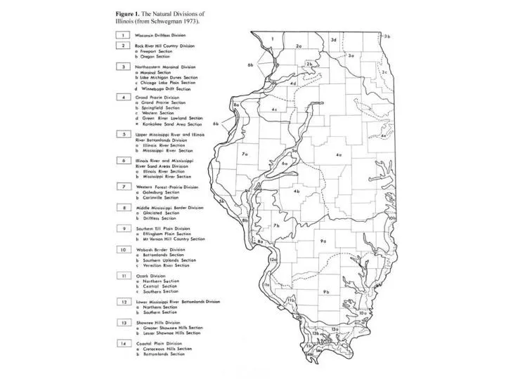 PPT - Western Forest Prairie Division PowerPoint Presentation, free ...