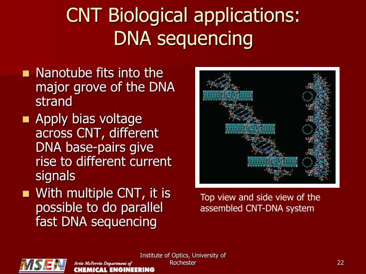 PPT - Carbon Nanotube Applications PowerPoint Presentation - ID:731014