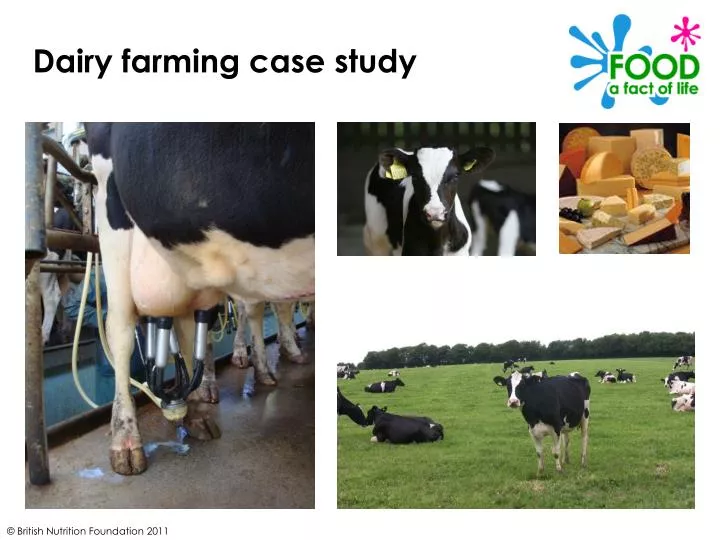 PPT - Dairy farming case study PowerPoint Presentation, free download ...