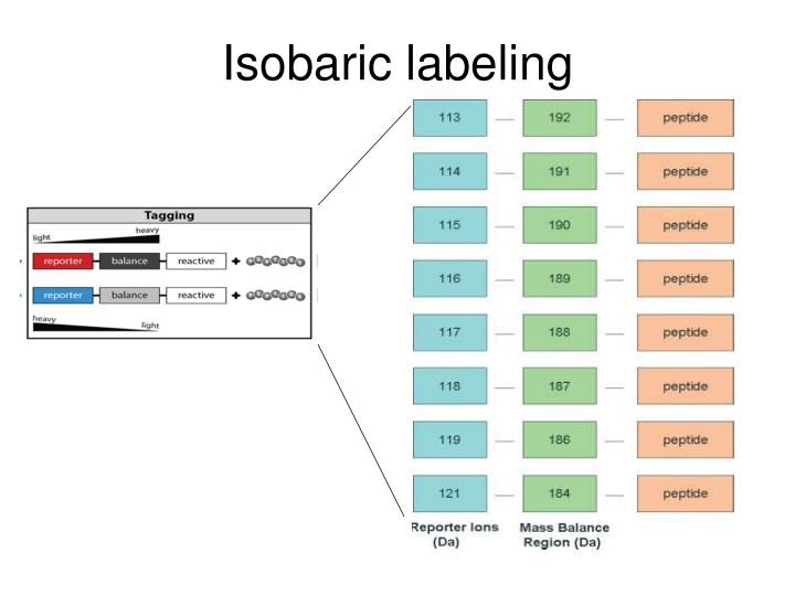PPT - Proteomics Data analysis PowerPoint Presentation - ID:731359