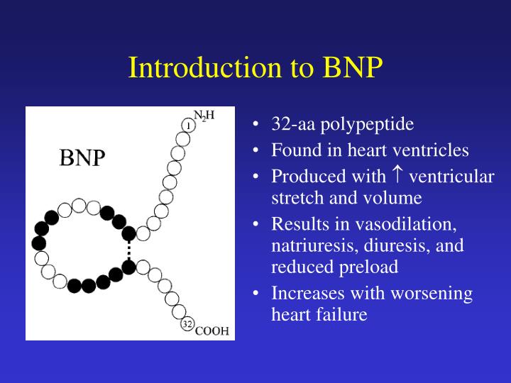 PPT - B-type Natriuretic Peptide (BNP) in the Diagnosis of Acute ...
