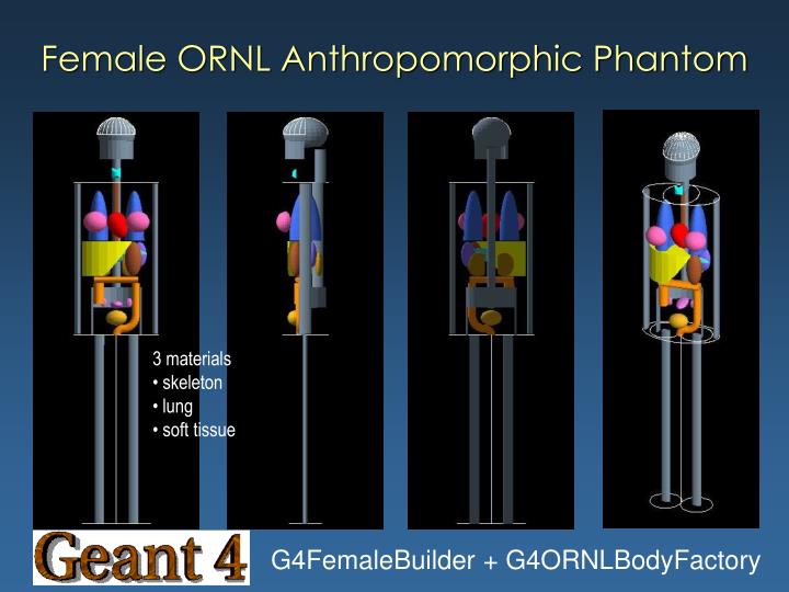 PPT - Anthropomorphic Phantoms PowerPoint Presentation - ID:733223