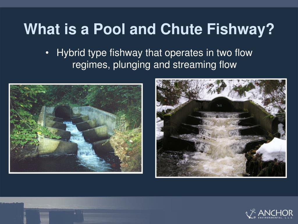 PPT - Pool and Chute Fishways PowerPoint Presentation, free download ...