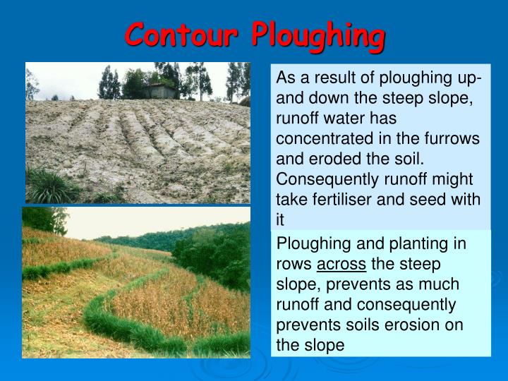 PPT - Extensive Commercial Farming PowerPoint Presentation - ID:734382