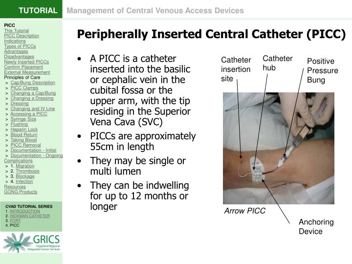 PPT - 4. PERIPHERALLY INSERTED CENTRAL CATHETER - PICC PowerPoint ...