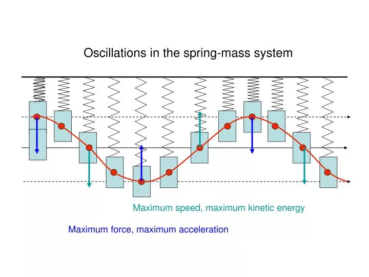 PPT - Oscillations in the spring-mass system PowerPoint Presentation ...