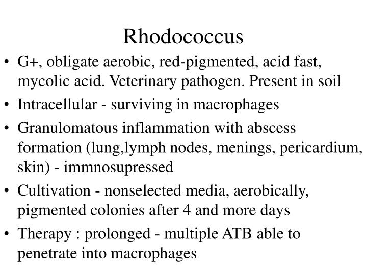 PPT - Practical taxonomy PowerPoint Presentation - ID:736204