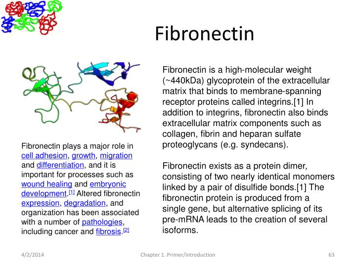 PPT - Polymer Process Engineering PowerPoint Presentation - ID:736858