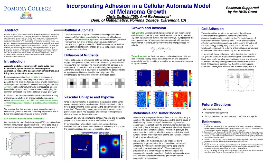 Ppt Incorporating Adhesion In A Cellular Automata Model Of Melanoma
