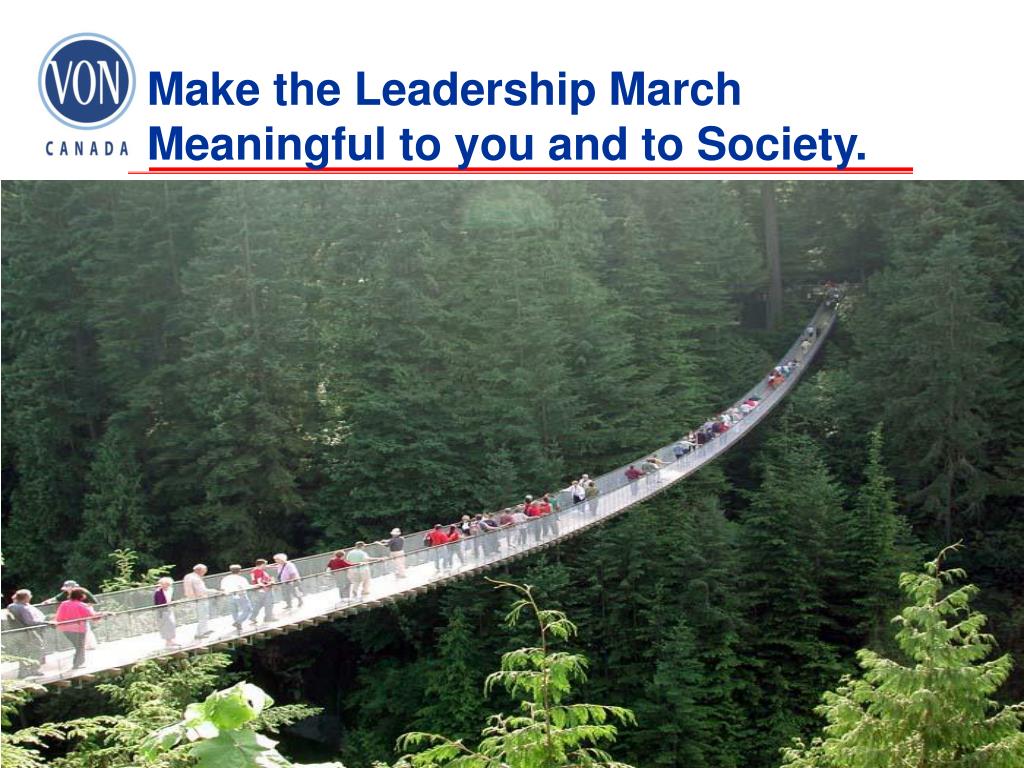 PPT - The Role of the Chief Nursing Officer: Leadership Capacity ...