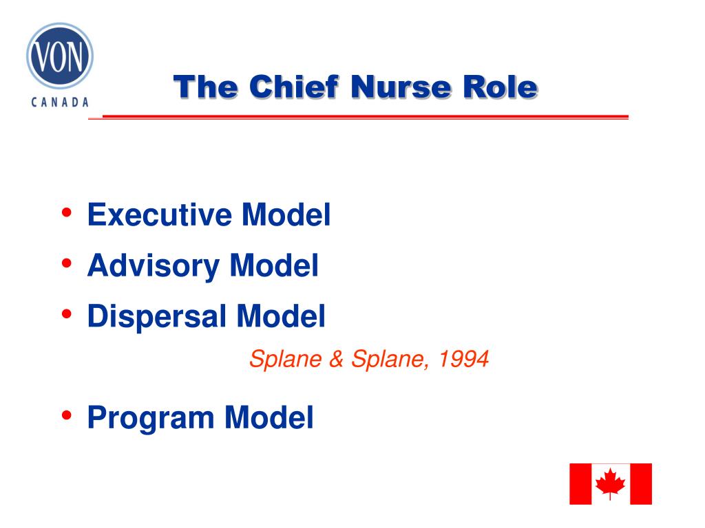 PPT - The Role of the Chief Nursing Officer: Leadership Capacity ...