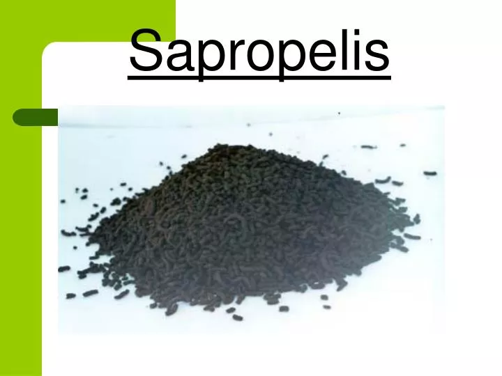 PPT - Sapropelis PowerPoint Presentation, free download - ID:739310