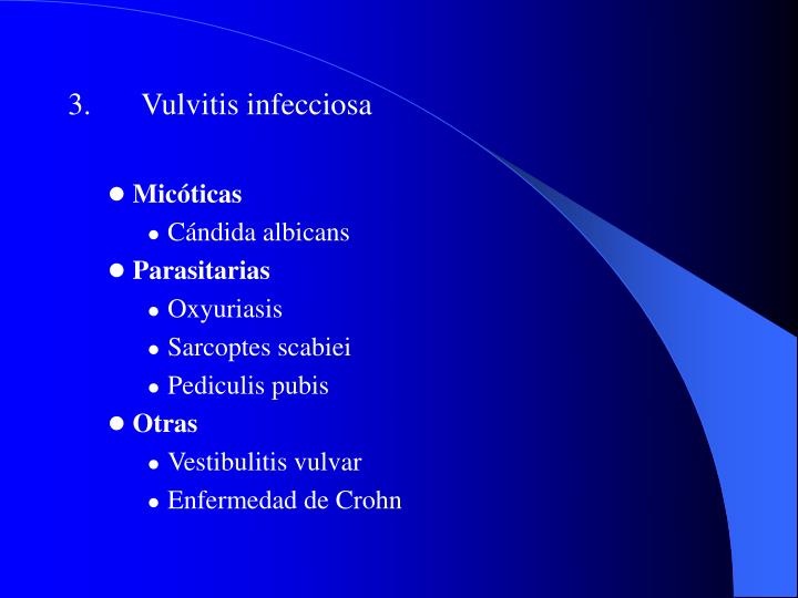 PPT - ENFERMEDADES DE LA VULVA PowerPoint Presentation - ID:739846