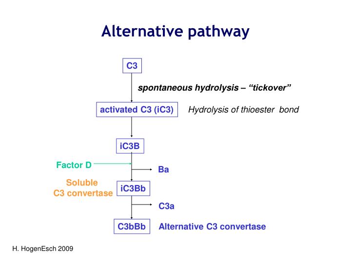 PPT - Complement PowerPoint Presentation - ID:740256