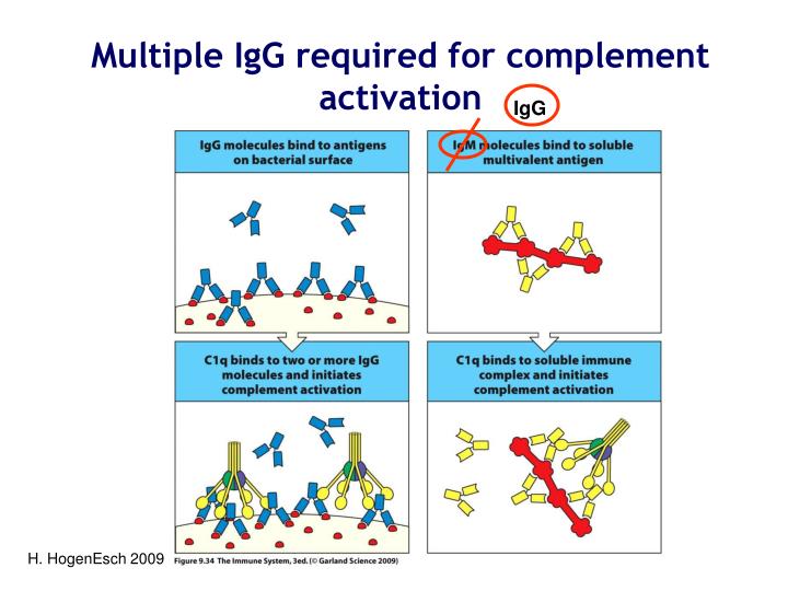 PPT - Complement PowerPoint Presentation - ID:740256