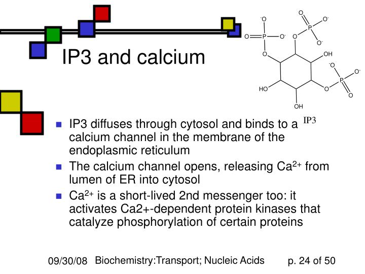 PPT - Transport & Signaling; Nucleic Acid Chemistry PowerPoint ...