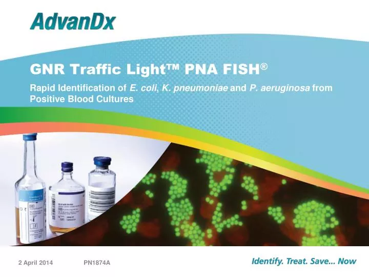 PPT - GNR Traffic Light™ PNA FISH ® PowerPoint Presentation, free ...