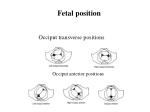 PPT - Partograph PowerPoint Presentation - ID:742543