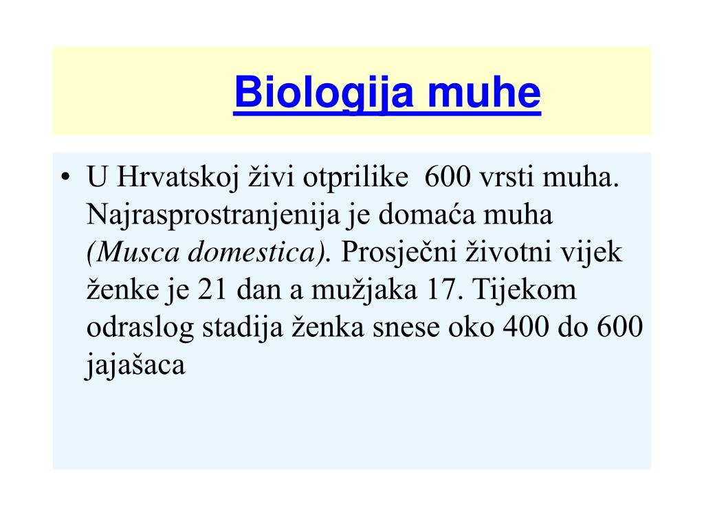 PPT - Dezinsekcija muha PowerPoint Presentation, free download - ID:742895