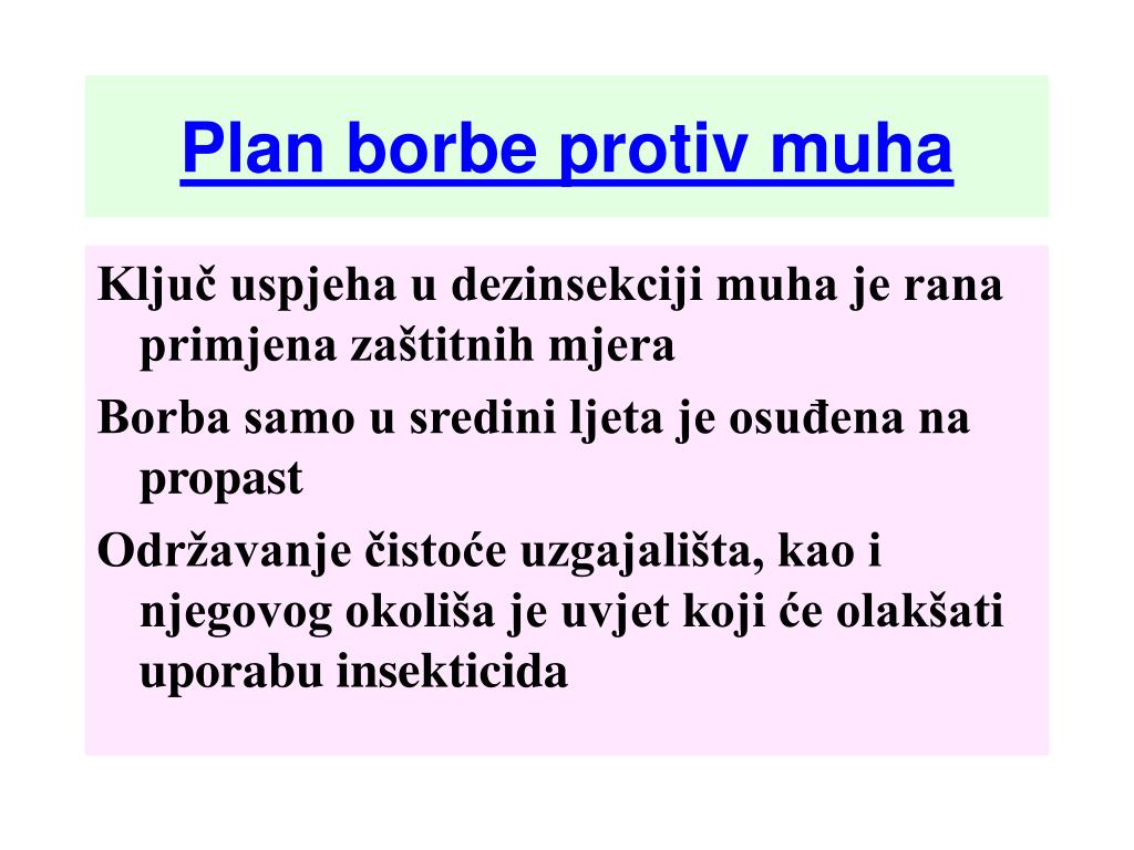 PPT - Dezinsekcija muha PowerPoint Presentation, free download - ID:742895