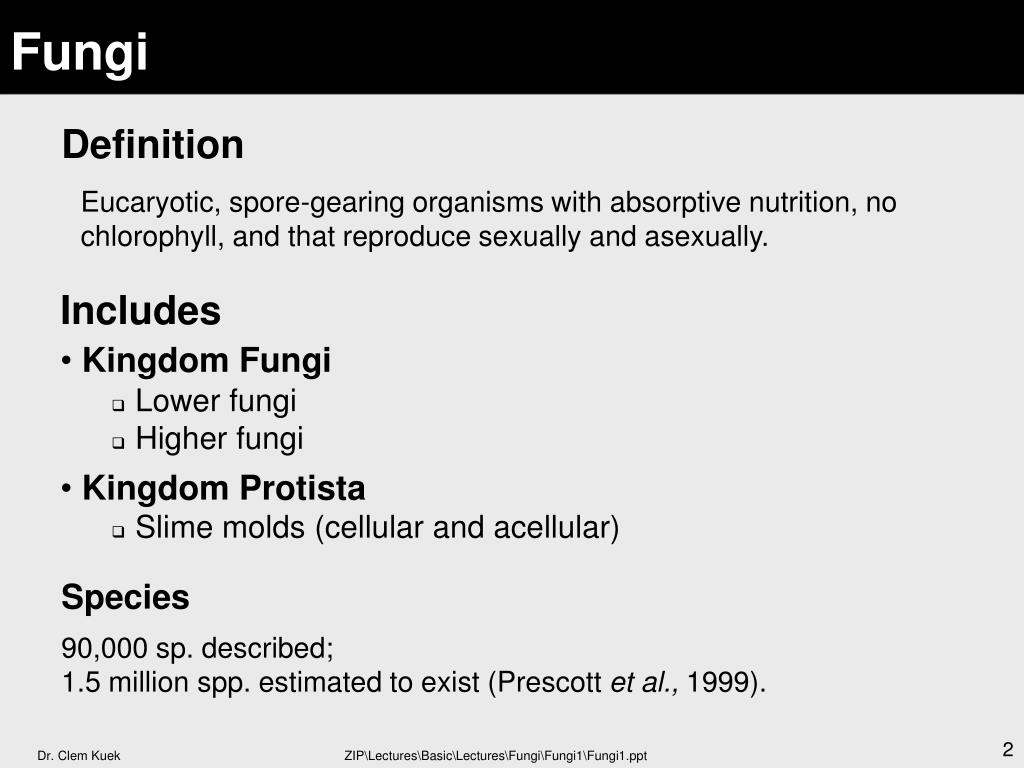Ppt Fungi 1 Importance Structure And Growth Powerpoint Presentation
