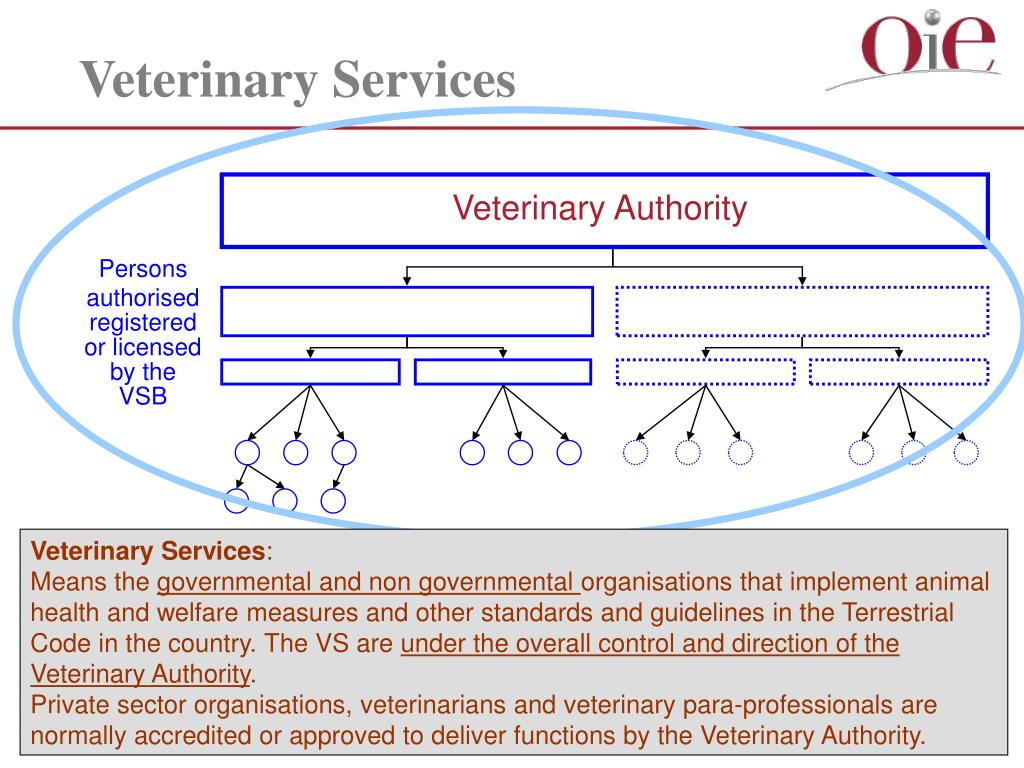 PPT - OIE standards on Quality of Veterinary Services Including ...