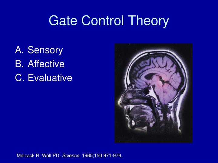 PPT - Pathophysiology of Acute & Chronic Pain PowerPoint Presentation ...