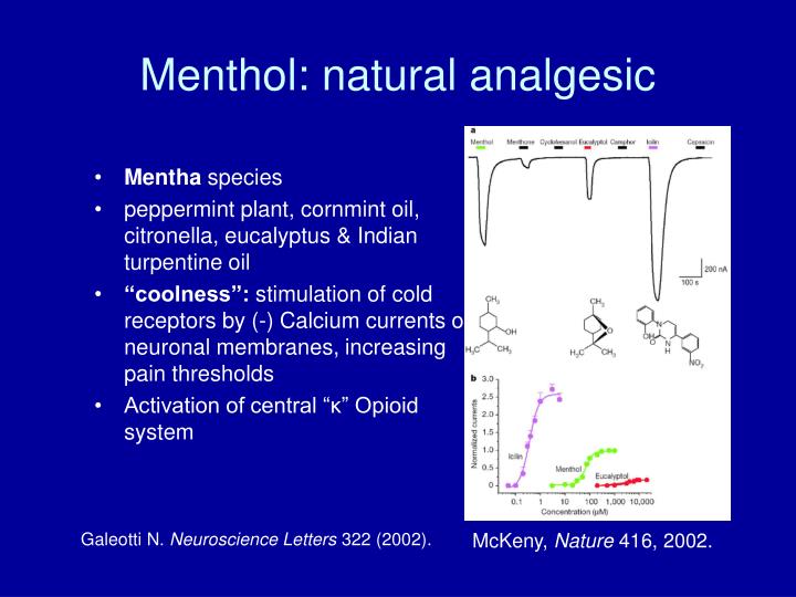 PPT - Pathophysiology of Acute & Chronic Pain PowerPoint Presentation ...