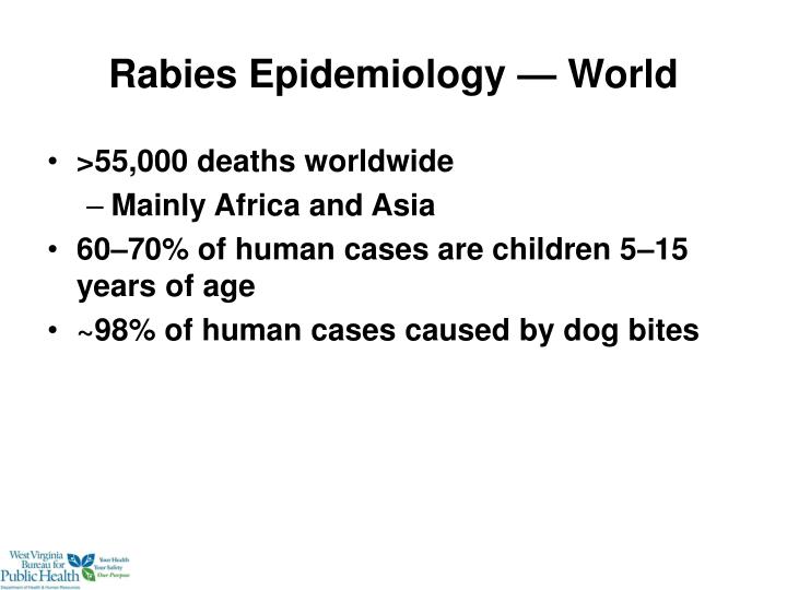 PPT - Biology and Epidemiology of the Rabies Virus PowerPoint ...