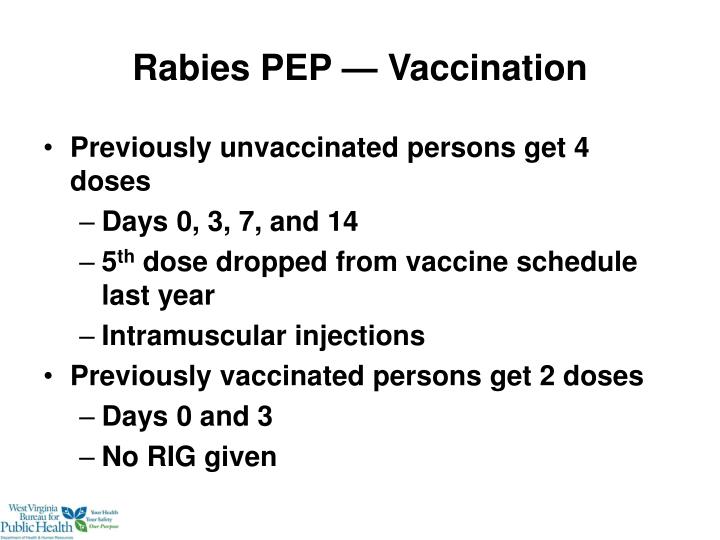 PPT - Biology and Epidemiology of the Rabies Virus PowerPoint ...