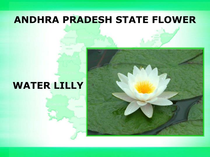 PPT - ANDHRA PRADESH STATE LANGUAGE PowerPoint Presentation - ID:745306