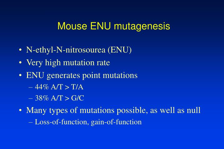 PPT - Genome-Scale Mutagenesis PowerPoint Presentation - ID:745408