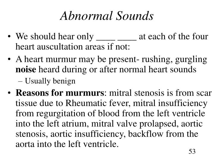 PPT - The Cardiovascular System: The Heart PowerPoint Presentation - ID ...