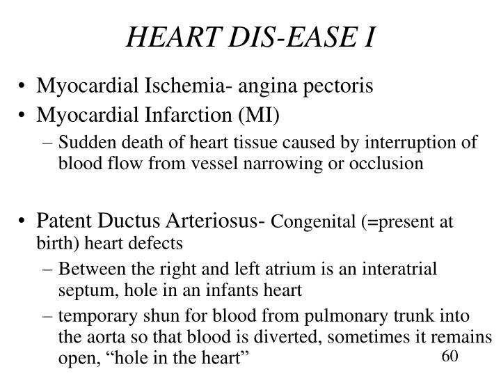 PPT - The Cardiovascular System: The Heart PowerPoint Presentation - ID ...