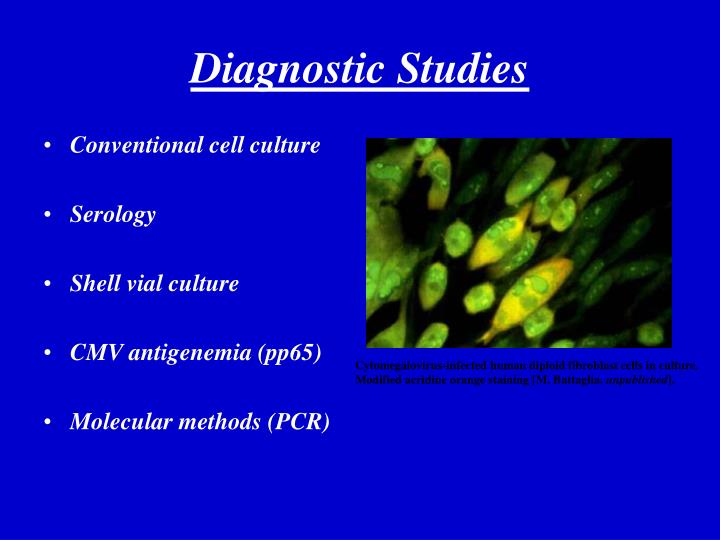 PPT - Cytomegalovirus PowerPoint Presentation - ID:751197