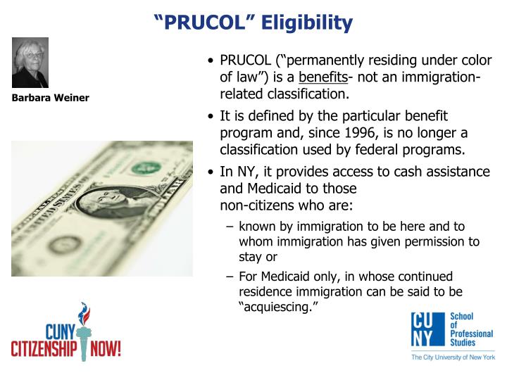 PPT - Selected Issues on Citizenship and Immigration Law: Immigrant ...