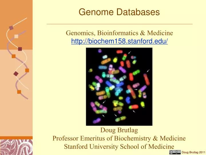 PPT - Genome Databases PowerPoint Presentation, free download - ID:752168