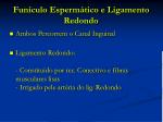 PPT - Anatomia da Região Inguinal e Crural PowerPoint Presentation - ID ...