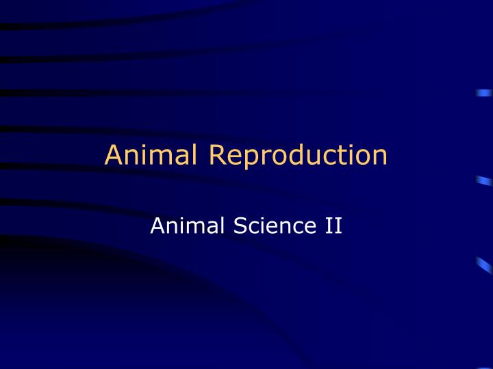 PPT - Animal Reproduction PowerPoint Presentation, free download - ID ...