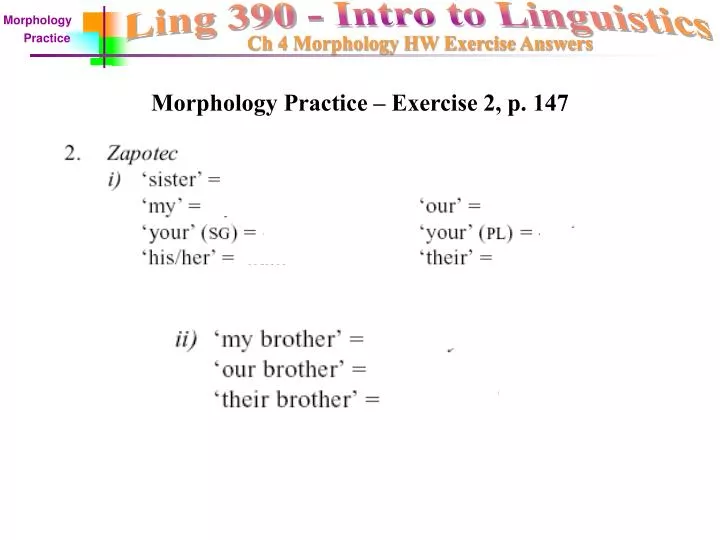 PPT - Morphology Practice – Exercise 2, p. 147 PowerPoint Presentation ...