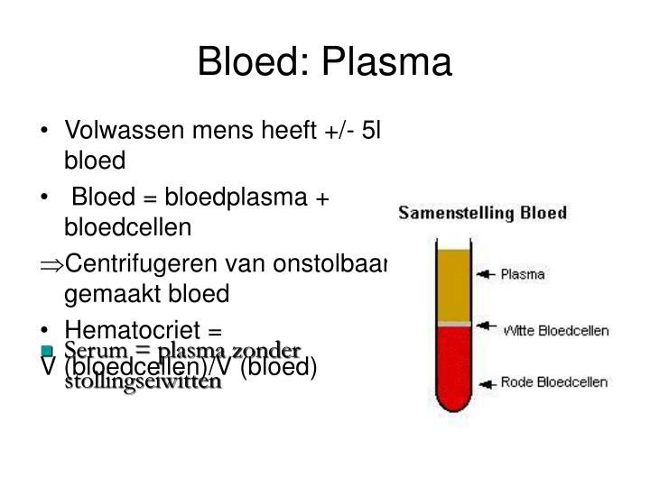 PPT - Het bloedvatenstelsel – Het lymfatisch systeem PowerPoint ...