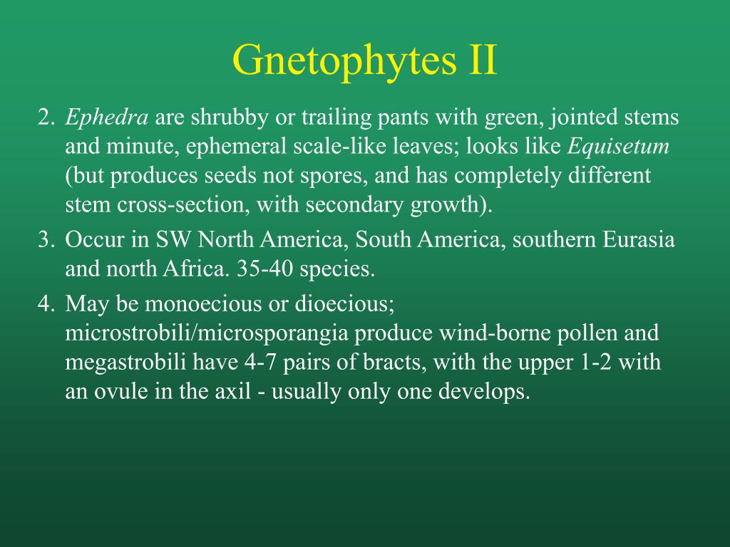 PPT - BIOLOGY 3404F EVOLUTION OF PLANTS Fall 2008 PowerPoint ...