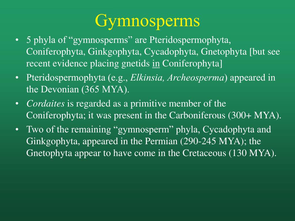 PPT - BIOLOGY 3404F EVOLUTION OF PLANTS Fall 2008 PowerPoint ...