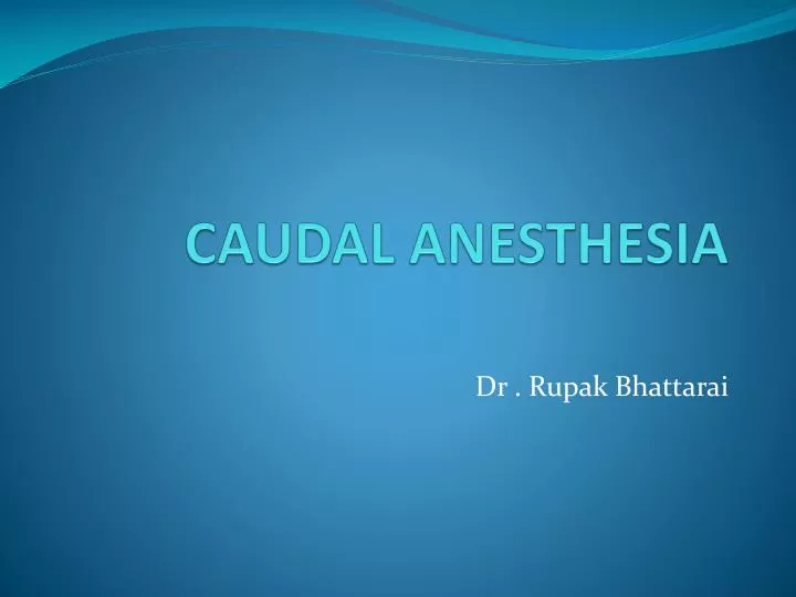 PPT - CAUDAL ANESTHESIA PowerPoint Presentation, free download - ID:755679