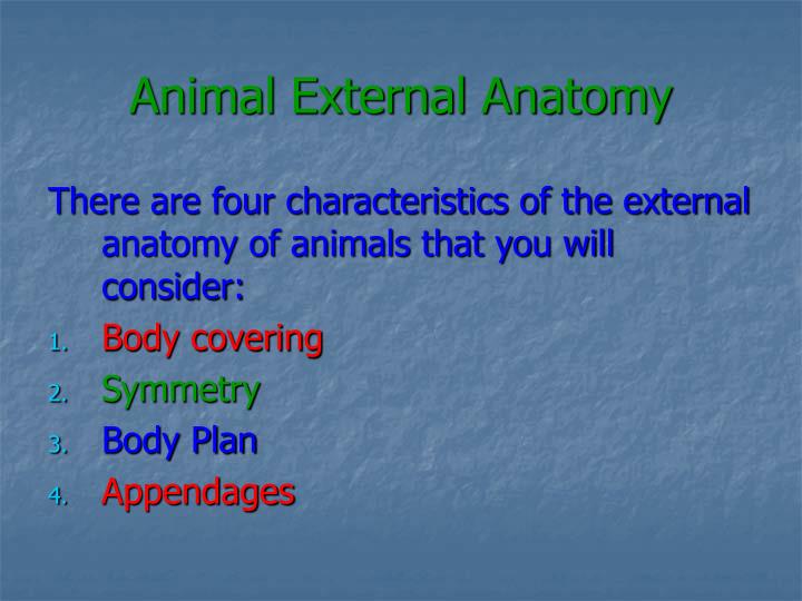 PPT - Animal External Anatomy PowerPoint Presentation - ID:756092