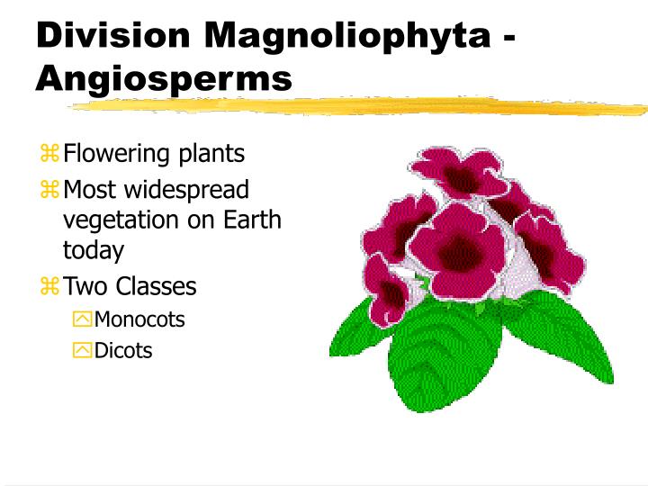 PPT - Survey of Plants, Fungi, and Algae PowerPoint Presentation - ID ...
