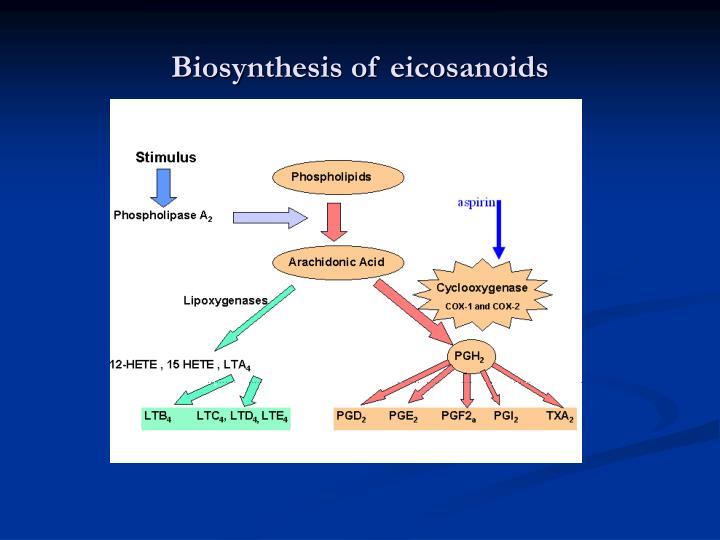 PPT - Antipyretic analgesic Nonsteroidal anti-inflammatory drugs ...