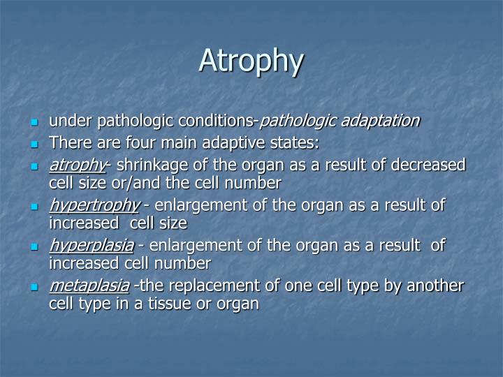 PPT - Cell injury:necrosis, apoptosis. Adaptations:atrophy, hypertrophy ...