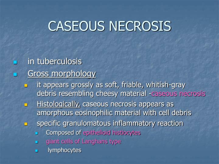 PPT - Cell injury:necrosis, apoptosis. Adaptations:atrophy, hypertrophy ...