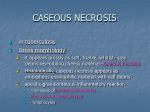 PPT - Cell injury:necrosis, apoptosis. Adaptations:atrophy, hypertrophy ...